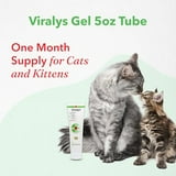 Vetoquinol Viralys L-Lysine Immune System Supplement Gel for Cats ...