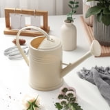 YIMWNYI 2L Plastic Watering Can with Long Spout for Succulents ...