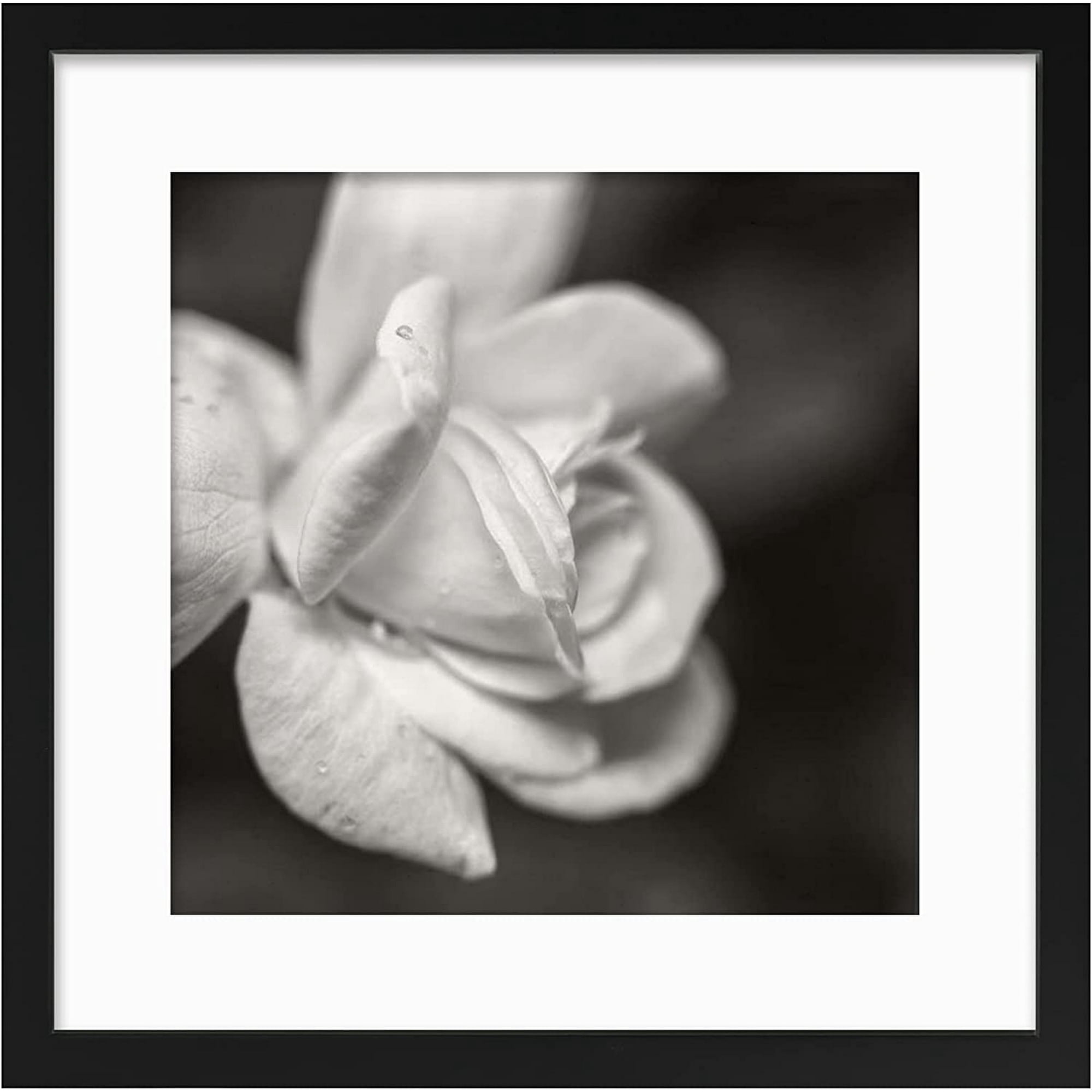 Click here for Ampm 16x16 Picture Frames Black Matted 12x12 Woode... prices