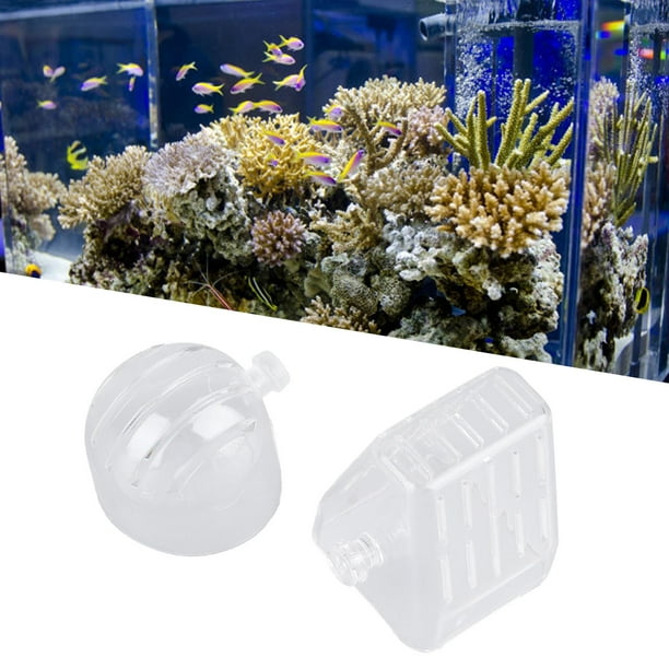 Aquarium Cone Feeder, Multipurpose Transparent Durable Fish Red Cup For ...