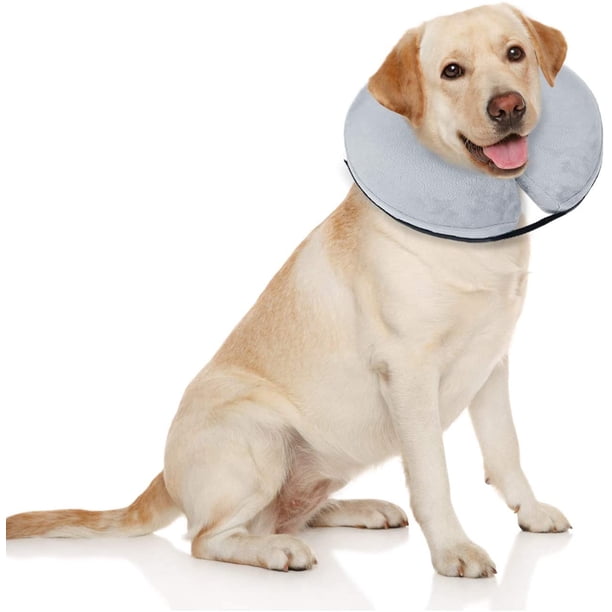 Protective Inflatable Collar for Dogs and Cats - Soft Pet Dog Cone ...
