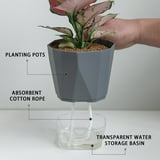 NSESSHome Transparent Household Pot Lazy Automatic Water-absorbing ...
