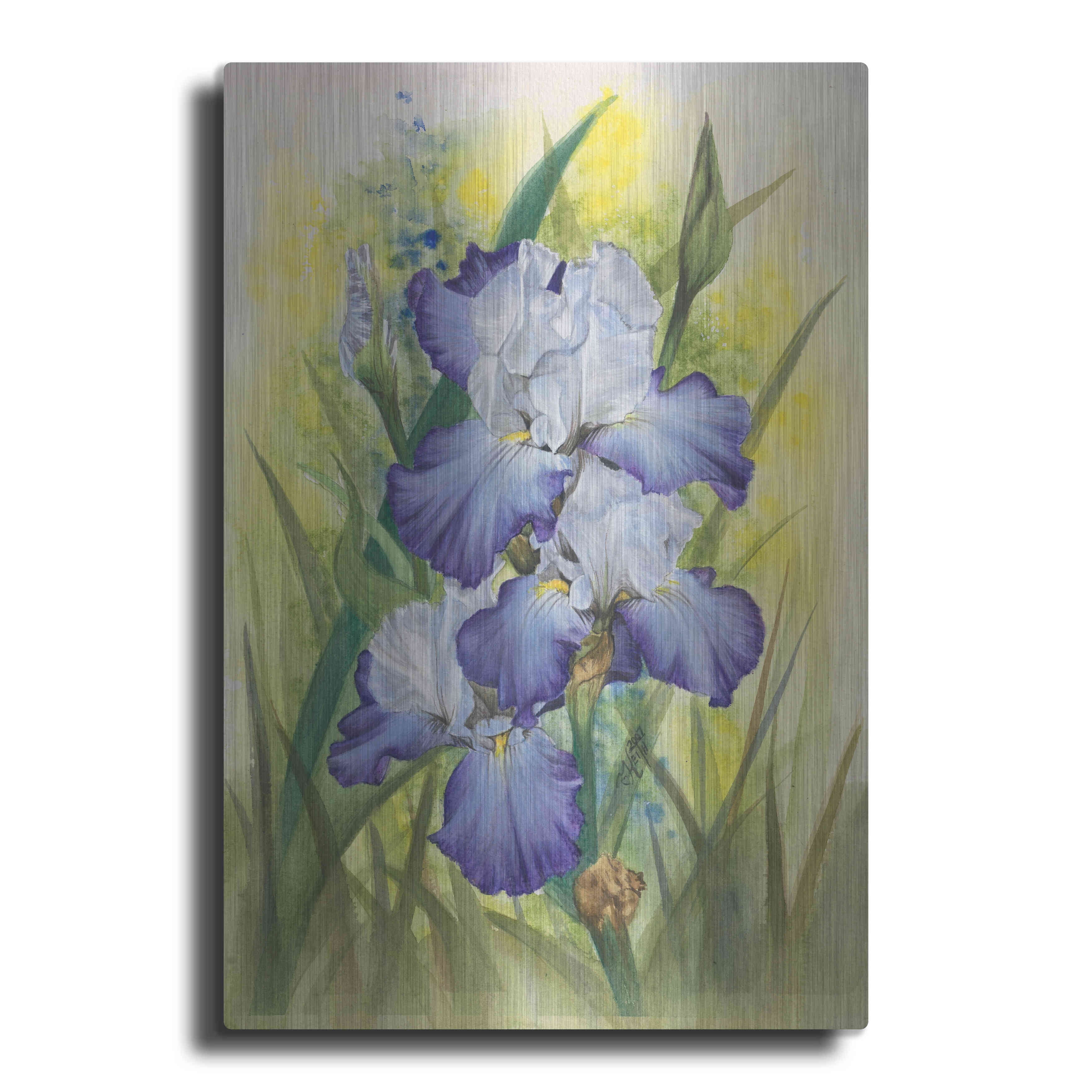 Luxe Metal Art 'Awake' by Barbara Keith, Metal Wall Art, 24"x36 ...