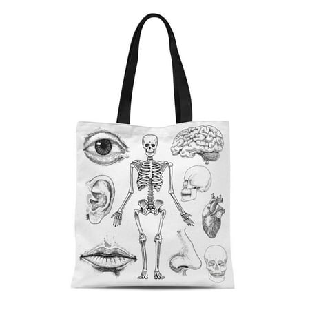 HATIART Canvas Tote Bag Human Biology Anatomy Engraved in Old Sketch ...
