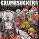 Crumbsuckers - Life Of Dreams - Vinyl - Walmart.com