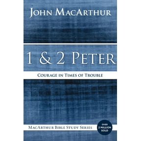 Basic Discipleship, (Paperback) - Walmart.com