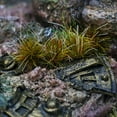 104-pcs 8mm Tall Diorama-Flowers-Grass Model Grass Cluster Humus Dark ...