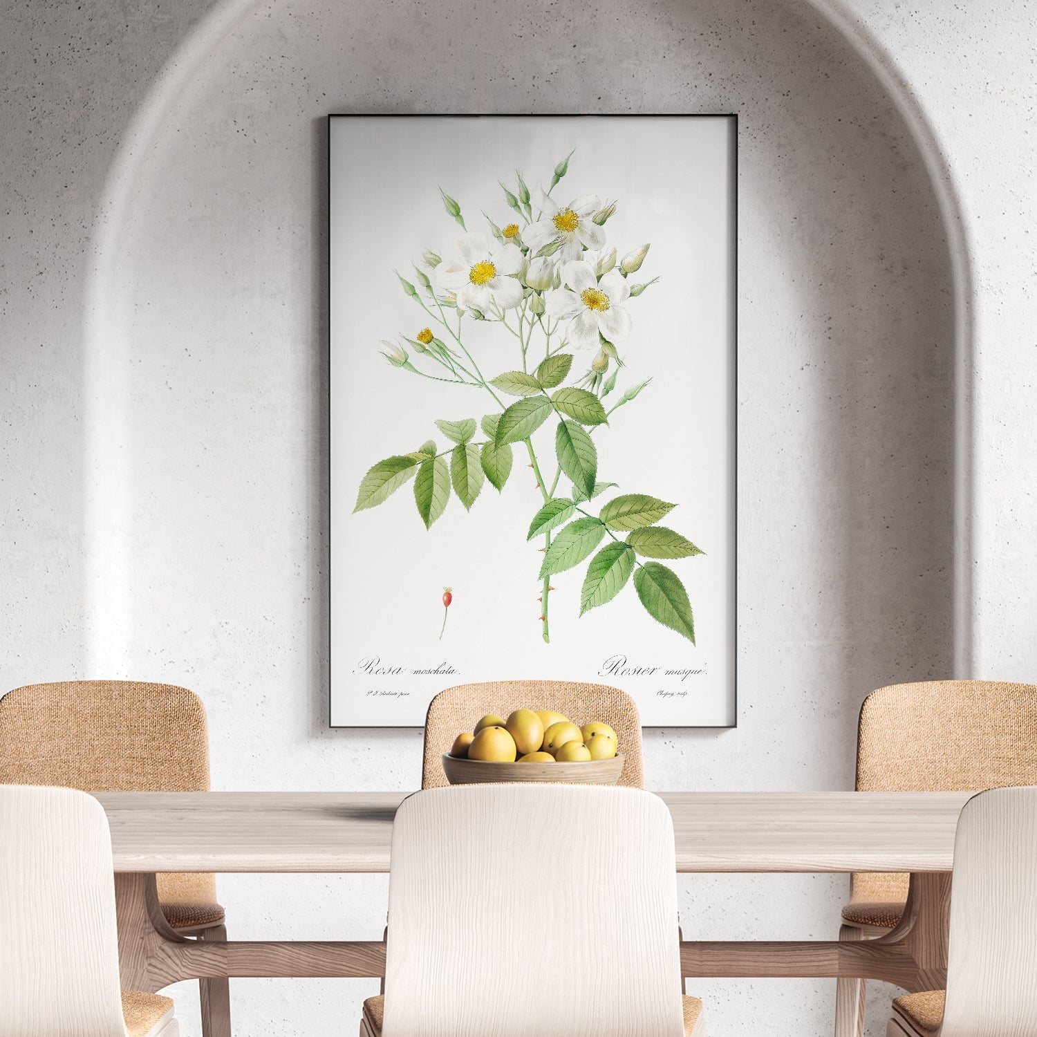 Musk Rose - 1817–1824 | Pierre-Joseph Redouté | Premium Fine Art Print ...