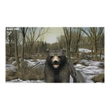 GAMEMILL ENTERTAINMENT Big Buck Hunter (PS4) - Walmart.com