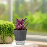 NSESSHome Transparent Household Pot Lazy Automatic Water-absorbing ...