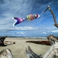 In the Breeze 4117 — Spectrum Koi Fish Windsock, 3-Feet — Multi-Color ...