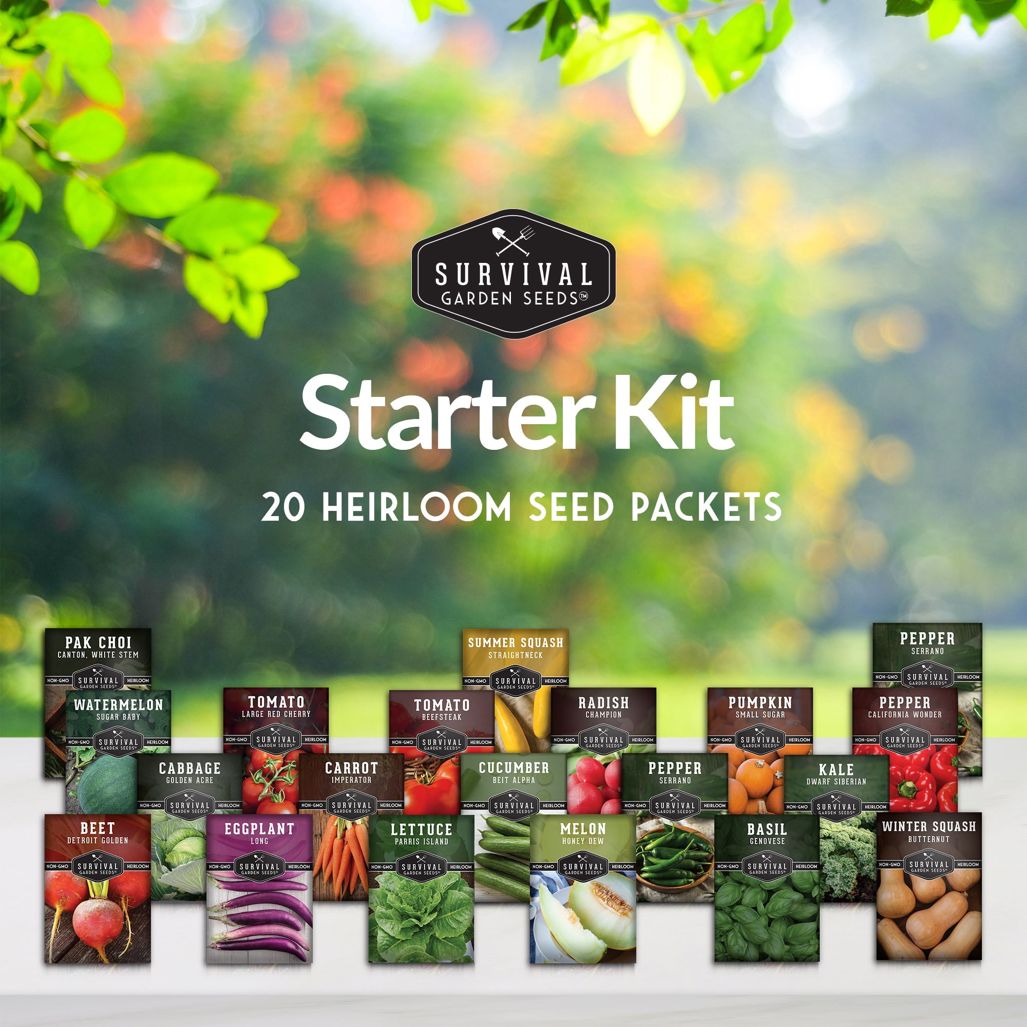 Buy Beginner Gardener Kit Seed Vault 20 Pack - Non GMO Heirloom ...