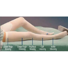 CURAD Cushioned Compression Socks MDS1714EBH - Walmart.com