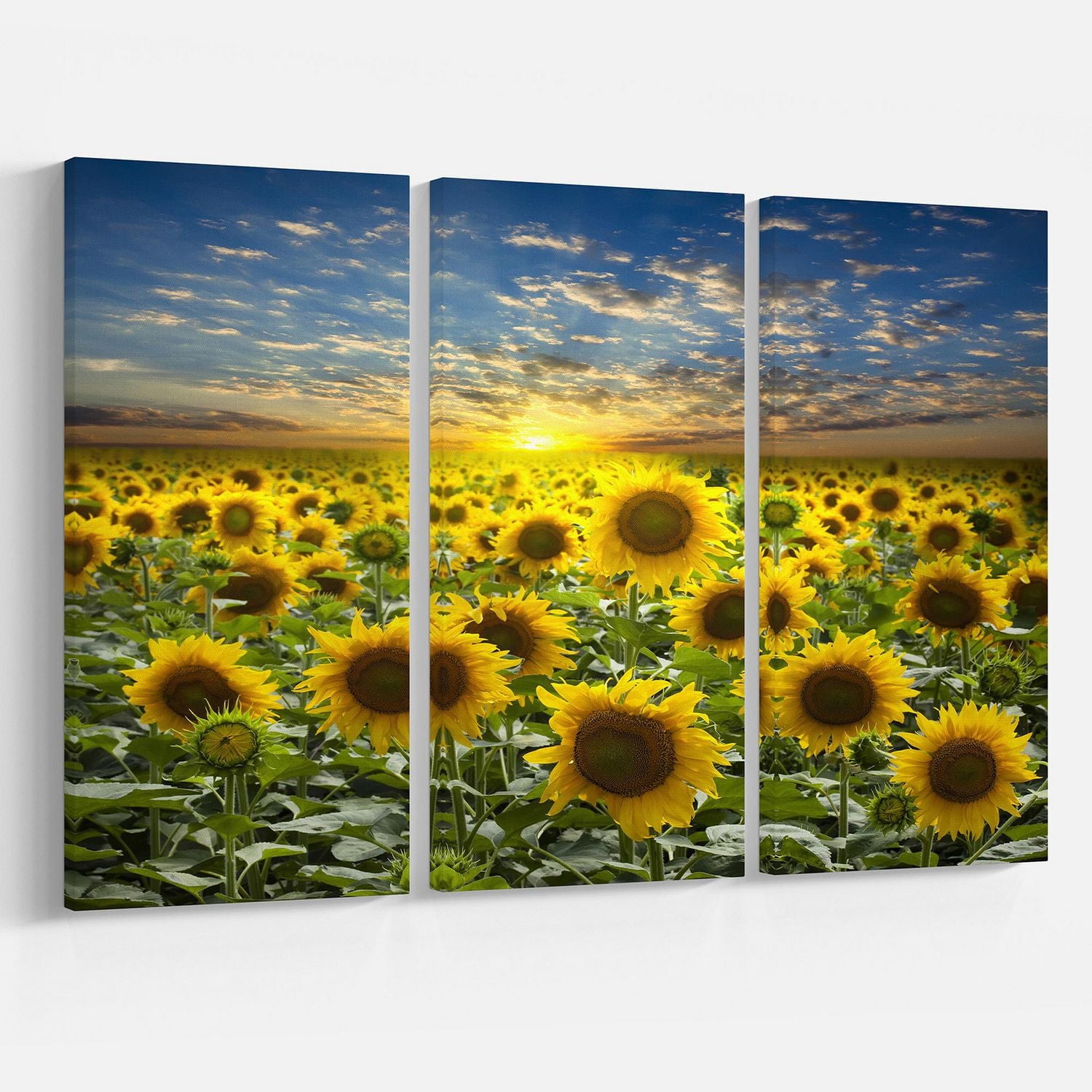 Click here for Designart Field Of Blooming Sunflowers Canvas Wall... prices