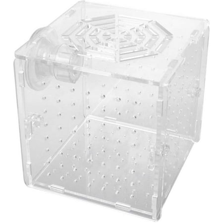 Aquarium Breeding Tank Acrylic Hatching Incubator Isolation Box Rearing ...