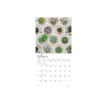 BrownTrout Succulents - 16-month calendar - wall mount - 2022 - month ...