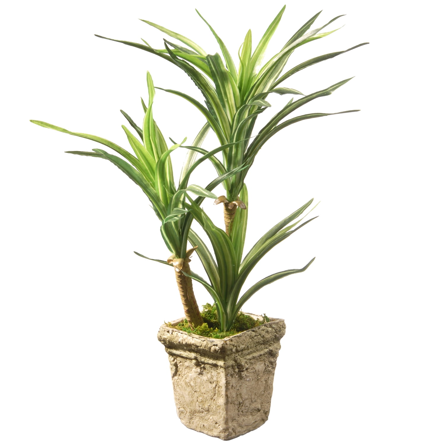 National Tree Company 14" Yucca Plant - Walmart.com
