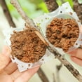 10-100PCS Plant Rooting Ball Grafting Rooting Box Breeding Case High ...