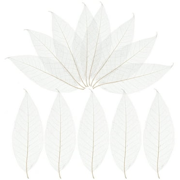 Hampton Art Action Wobbles Standard 48 Pieces, Action Wobbler, Wobble ...