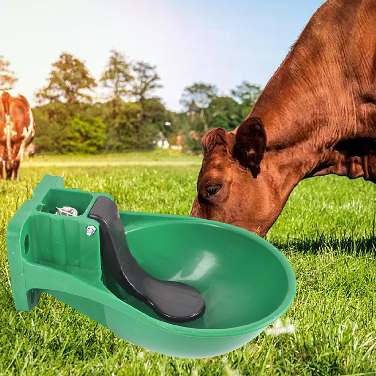 Automatic Cow Feeder