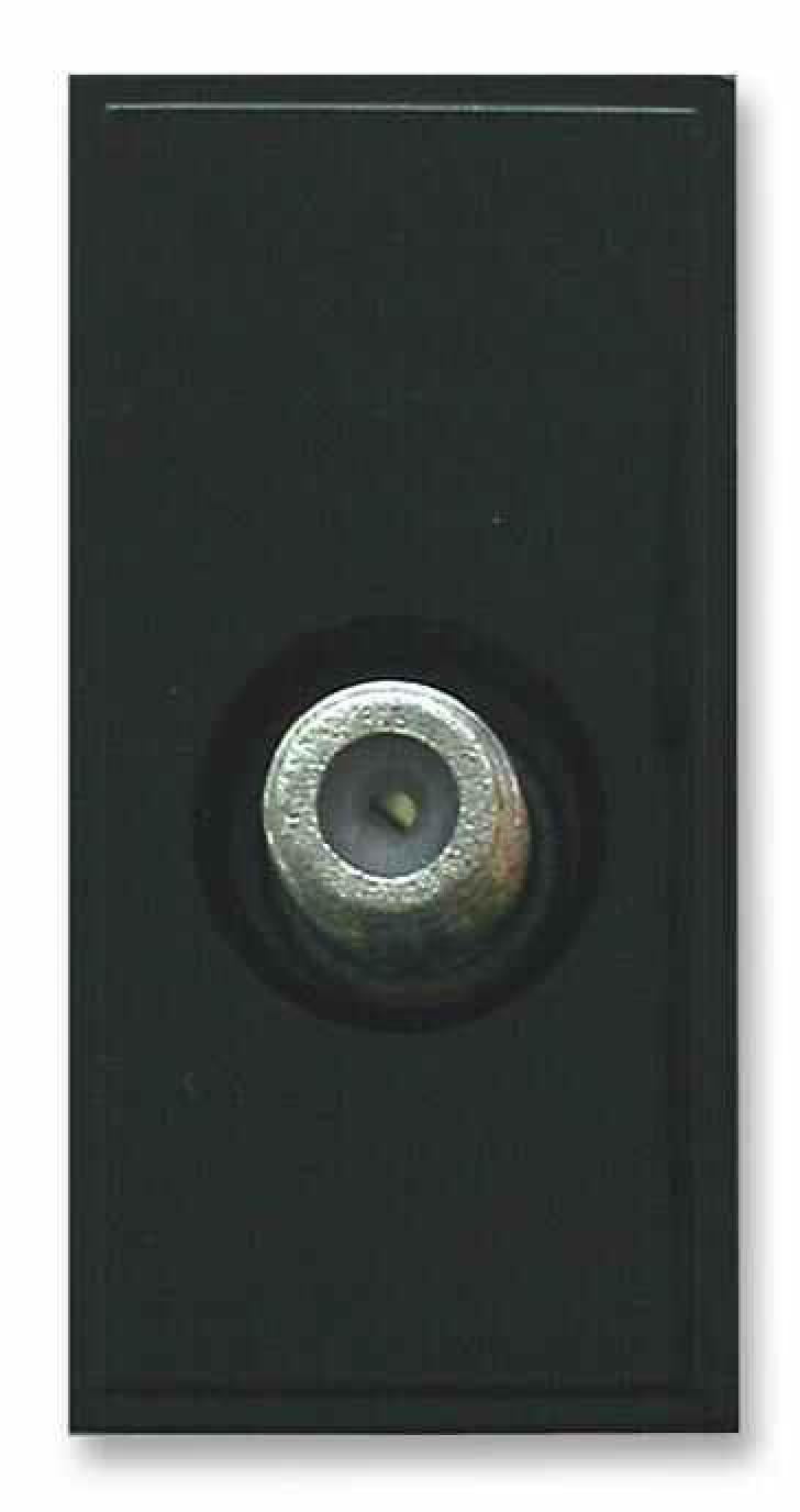 TRIAX - Single F Type Connector Euro Module, Black - Walmart.com