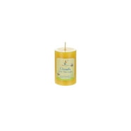 Cutter Outdoor Scented Candle Citronella & Mint Scent Brings Glow and ...