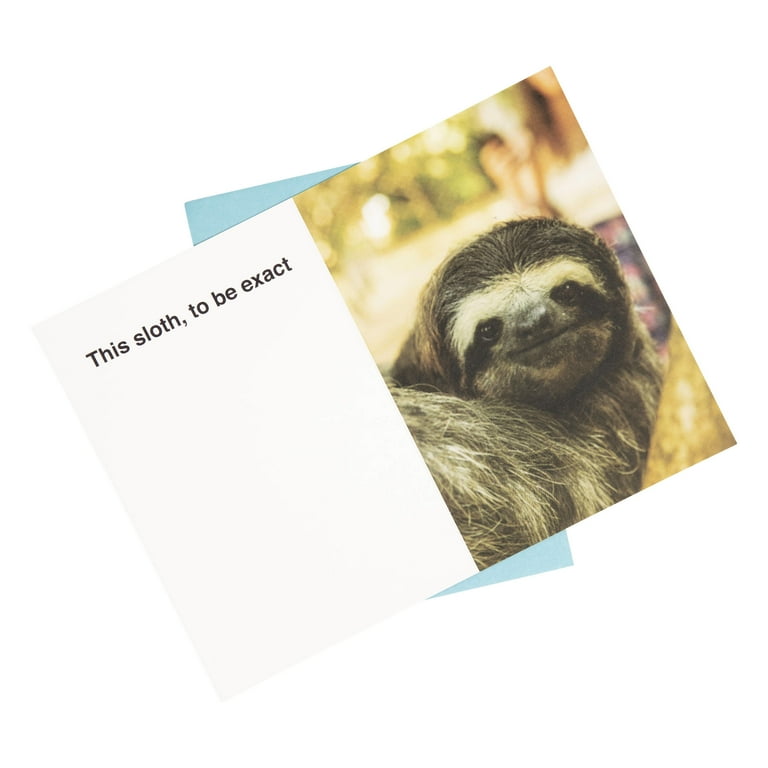 14 Sloth Memes That Will Quickly Make Your Day More Exciting