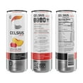 CELSIUS Sugar-Free Essential Energy Drink, Sparkling Raspberry Peach ...
