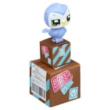 Boxy Girls Pets, Bird - Walmart.com