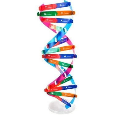 ScienceWiz DNA Kit - Walmart.com