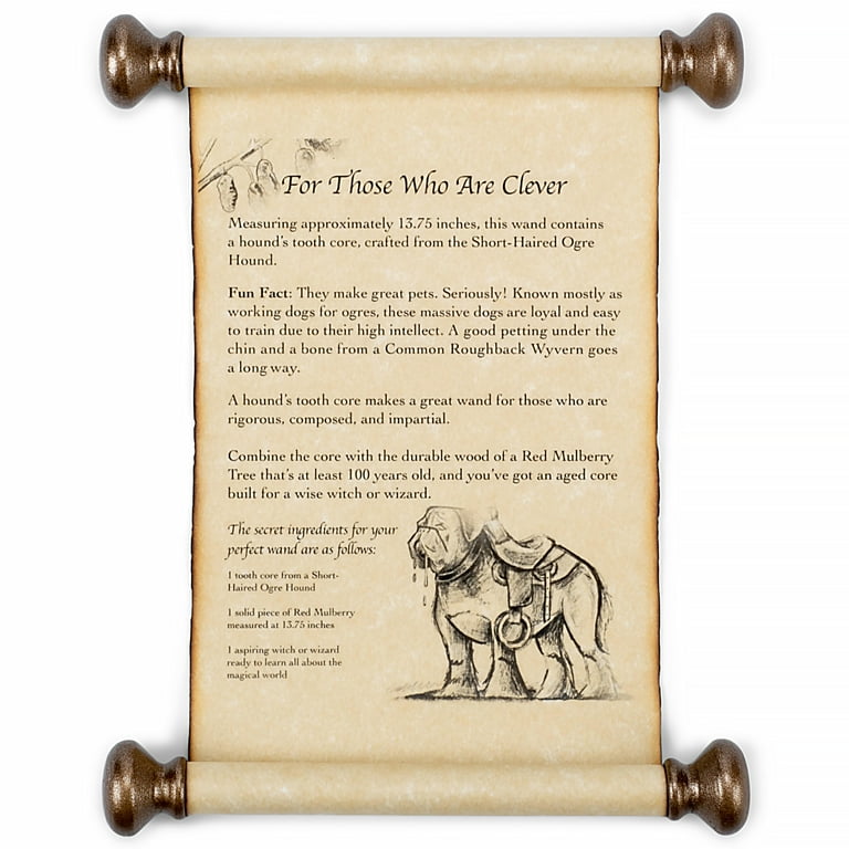 Parchment Scroll With Seal
