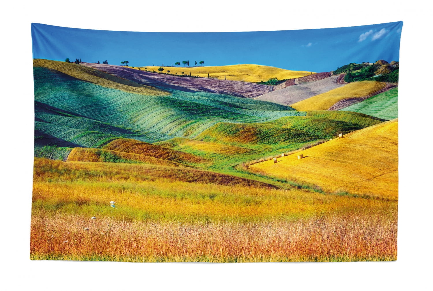 Science Tapestry, Cartoon Illustrated Chart of Animals of The World and ...