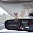 Automatic Whirling Car Accessory - Safe Dashboard Spinner for Unique ...