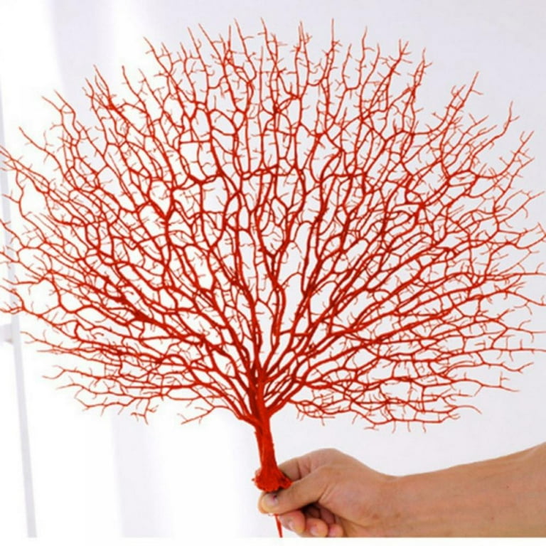 Red Coral Branch