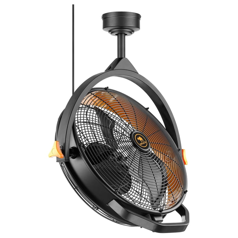 Home Gym Caged Ceiling Fan