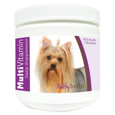Healthy Breeds Dog Multi-Vitamin Soft Chew for Brittany, Daily Vitamin ...