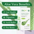 AloeCure Organic Aloe Vera Juice, Natural Flavor, 500ml, Supports ...