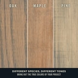 Fogstone Varathane Premium Fast Dry Wood Stain-370871, Half Pint ...
