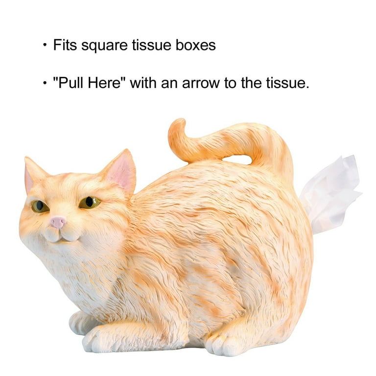 Tissues Of Cat