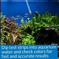 API Ammonia Aquarium Test Strips, Measures 0-6 ppm, Freshwater and ...