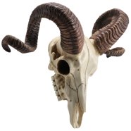 Design Toscano Corsican Ram Skull and Horns Wall Trophy - Walmart.com
