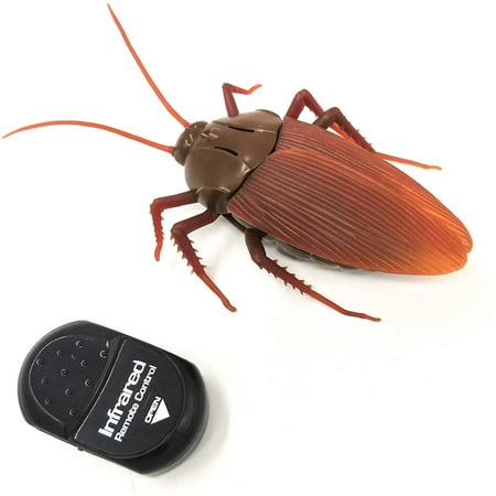 Remote Control Cockroach RC Cockroach Toy - Walmart.ca