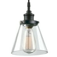 Globe Electric Jackson 1-Light Matte Black Plug-In Pendant,65580 ...