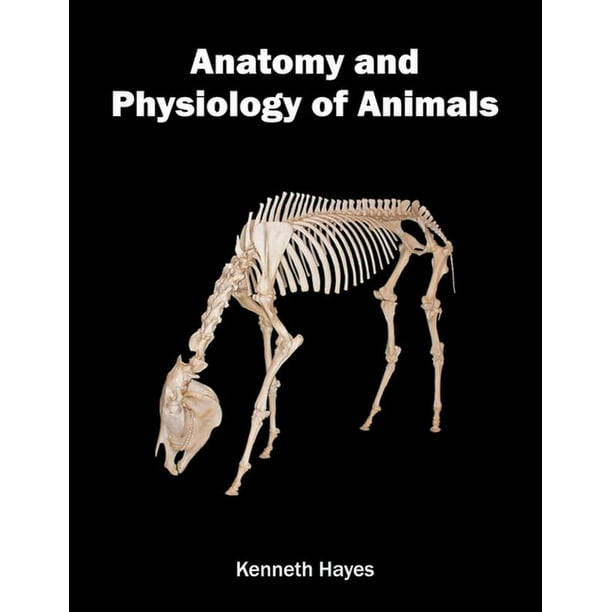 Anatomy and Physiology of Animals (Hardcover) - Walmart.com