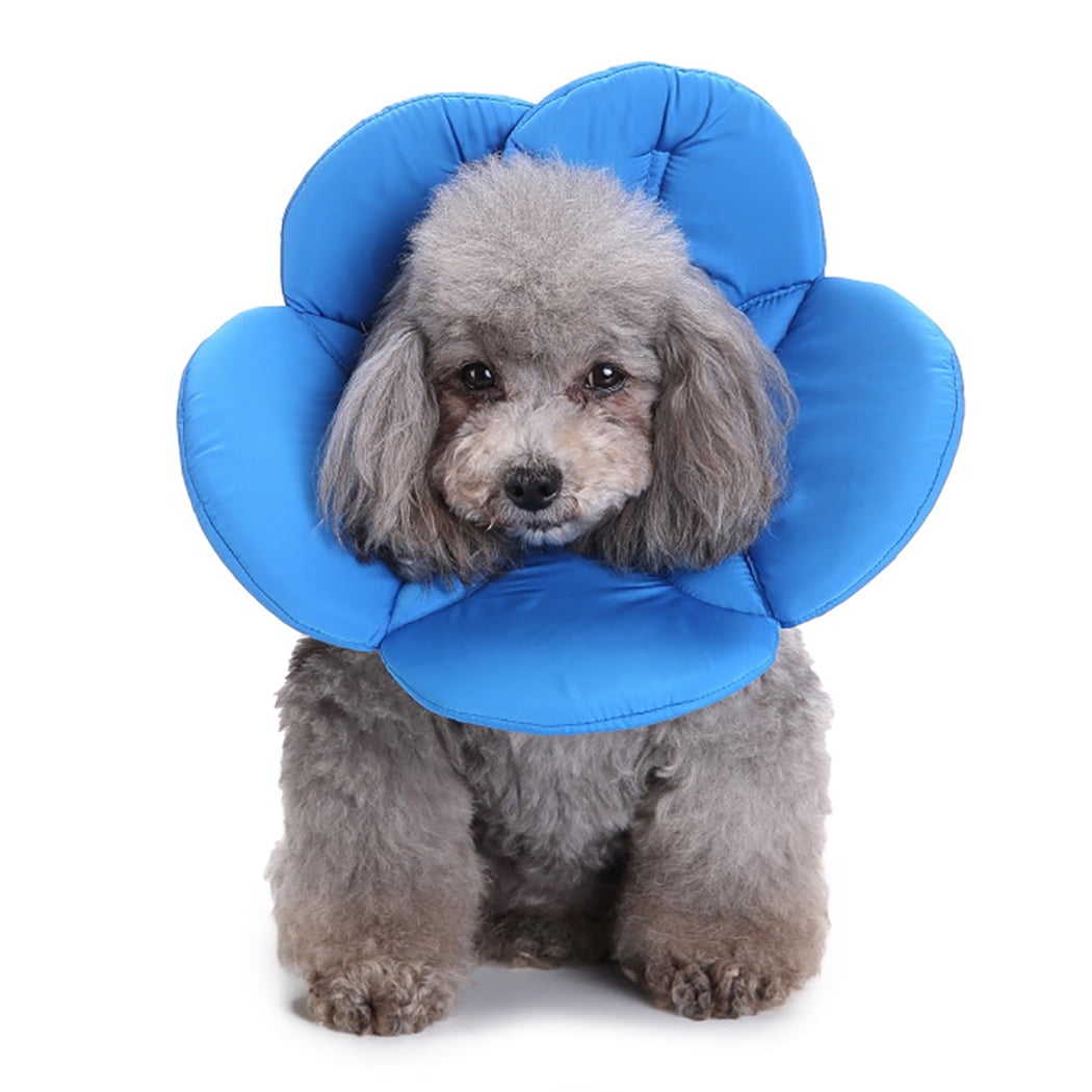 Click here for Nobrand Pet Cone Flower Pattern Soft Protective Co... prices