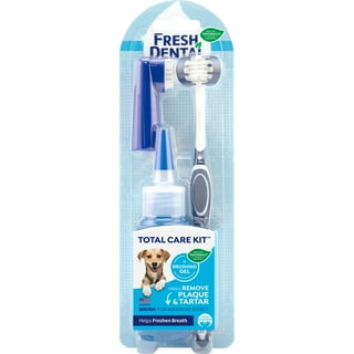 Paw Ready Dental Hygiene Kit Medium Orange for Dogs and Cats - Walmart.com