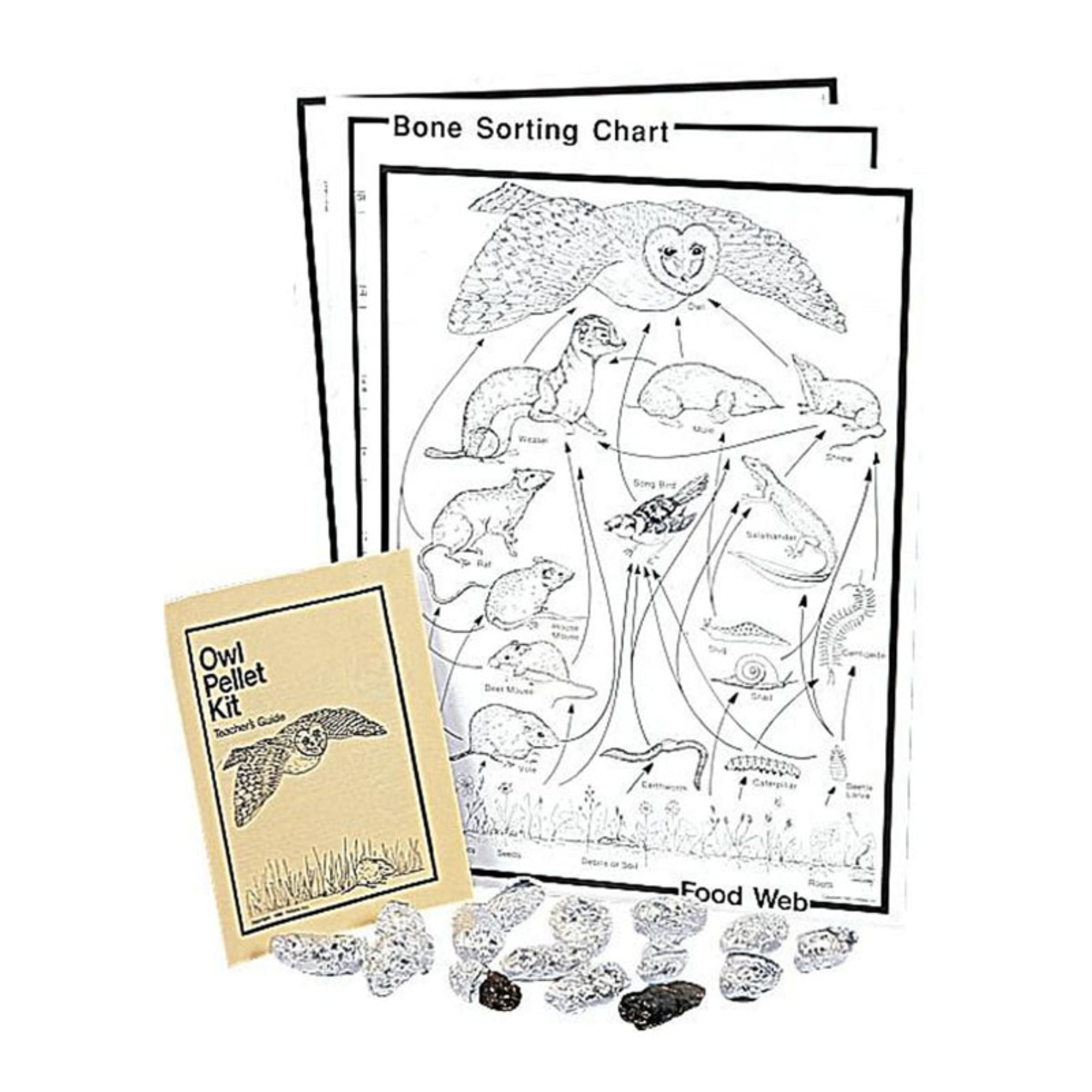Owl Traditional Pellet Classroom Kit - Walmart.com