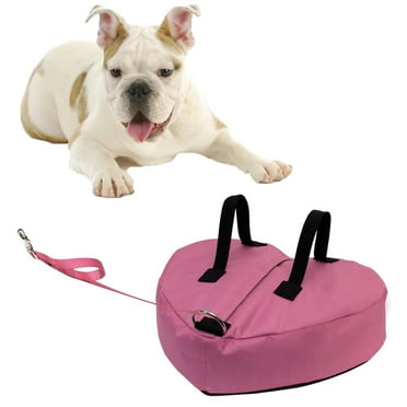 Invisible Dog Leash - Walmart.com
