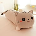 BESTSKY Cat Stuffed Animal,50cm Cute Cat Expression Cat Stuffy,Soft ...