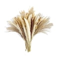 Gallickan 15-17in Faux Pampas Grass Decor Set with Metal Stalk and Silk ...